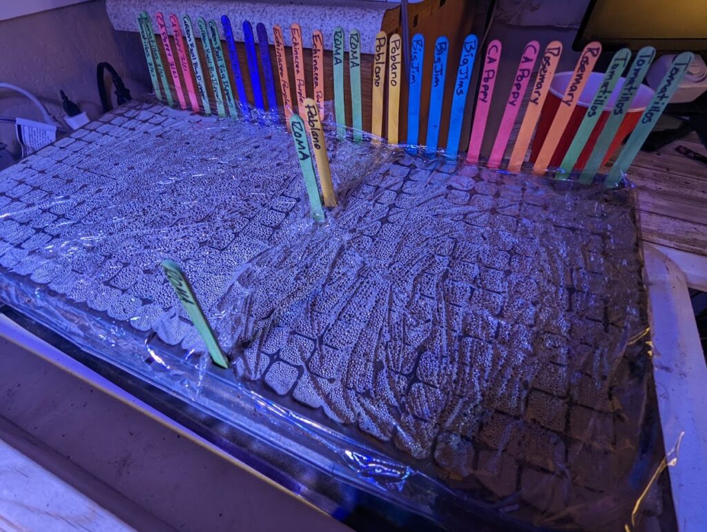 Foodscape.Tips – Join The Movement – Grow Your Own Food